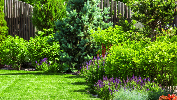 How Healthy Landscaping Impacts Our Daily Lives and Mindsets - Tech ...
