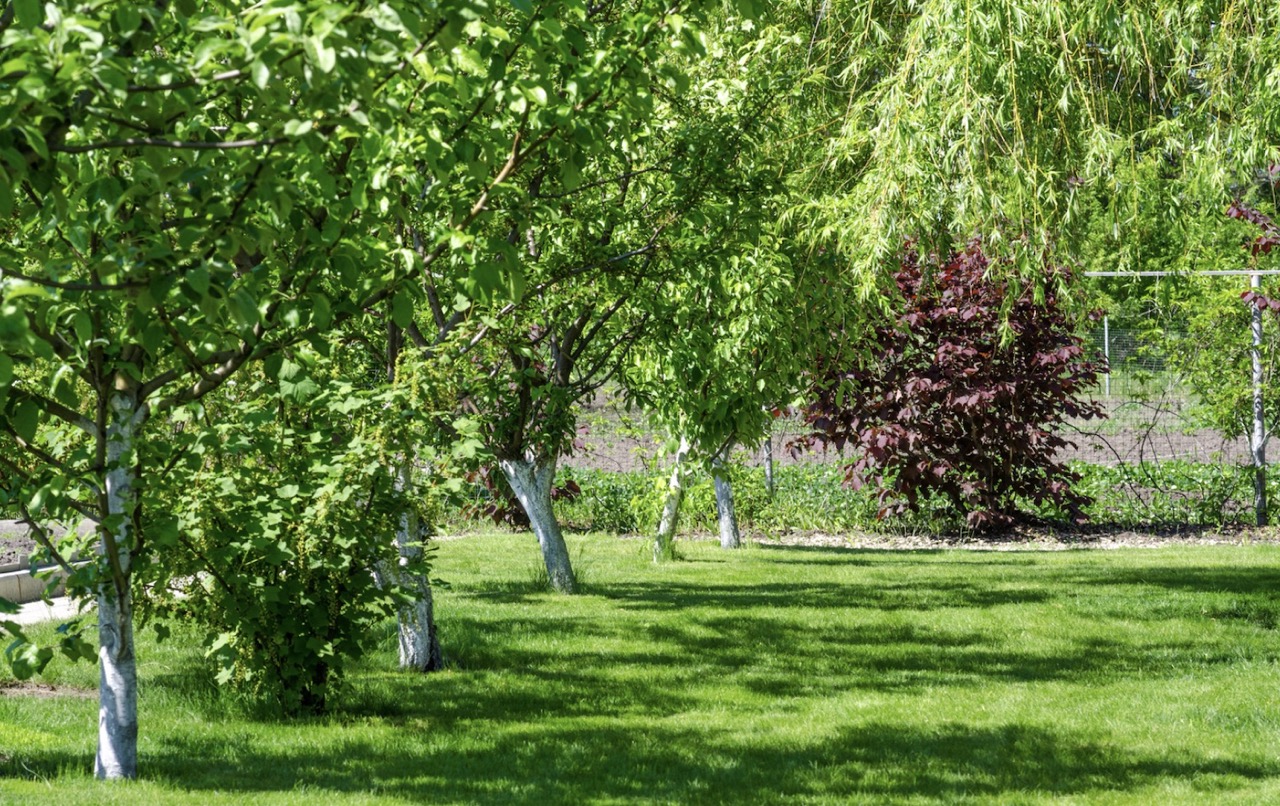 Landscapes and the Ecosystems We Depend On - Tech Terra Environmental