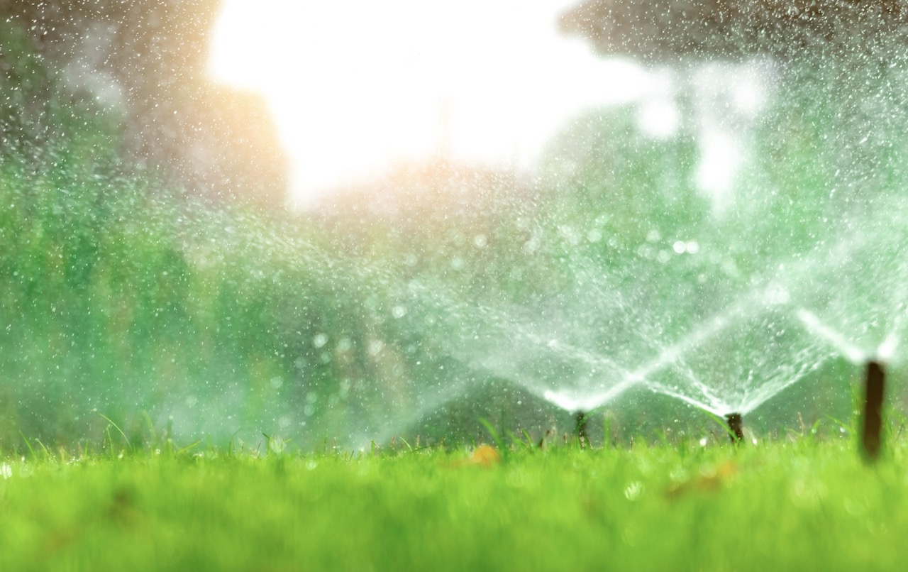 Landscapes and the Ecosystems We Depend On - Tech Terra Environmental